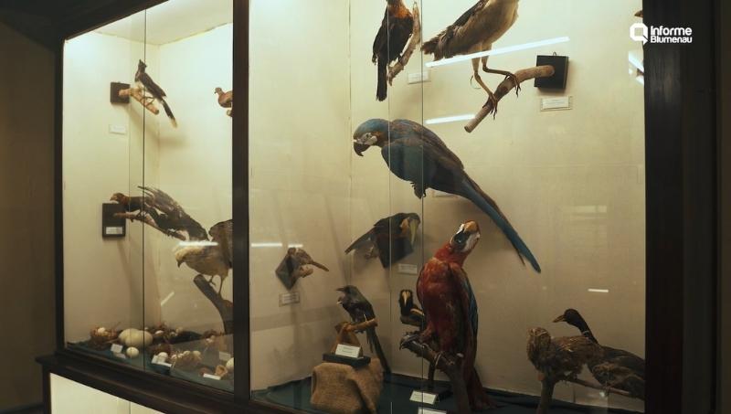 "200 anos de Fritz Muller: o trabalho e as descobertas de Fritz Müller ...